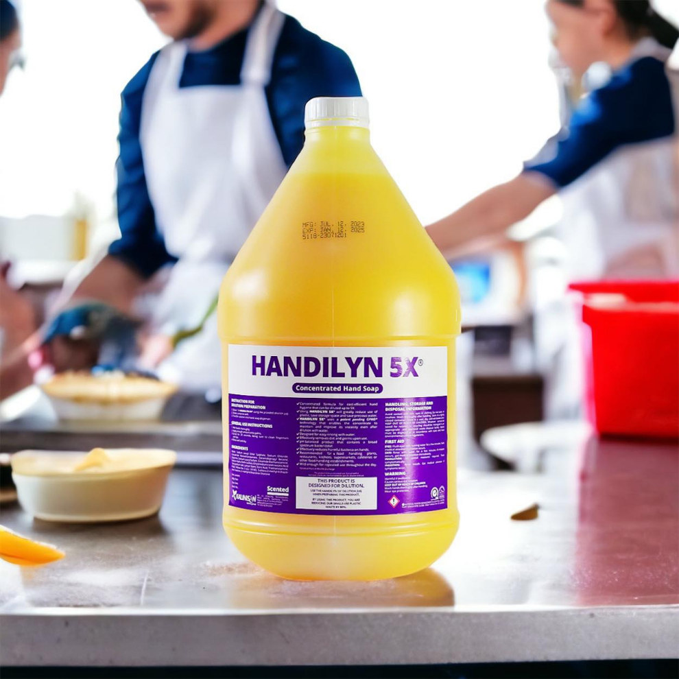 Handilyn 5x Concentrated Hand Soap 1 Gallon (3.8 Liters) – Clean Depot
